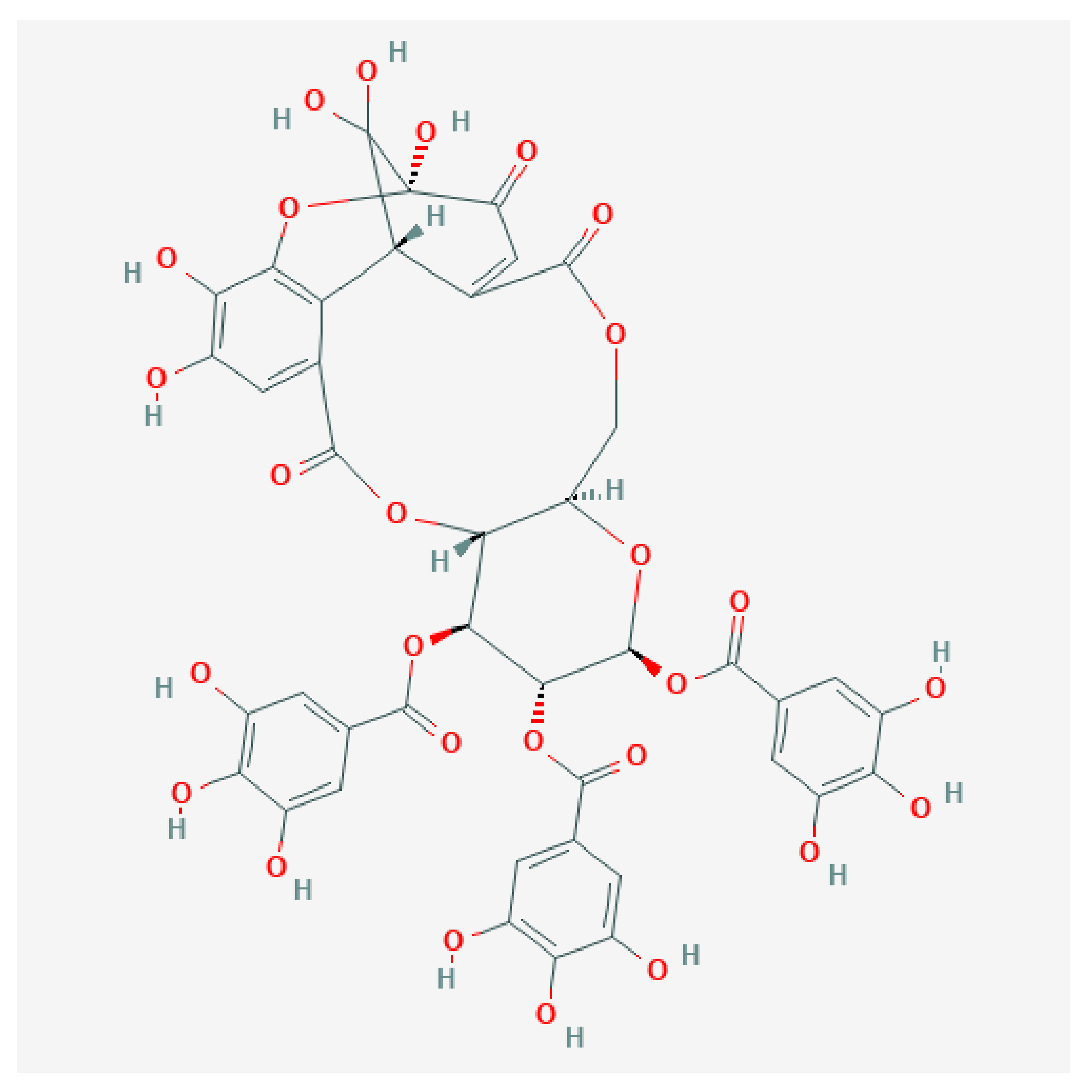 Plants | Free Full-Text | Cytinus under the Microscope: Disclosing the ...