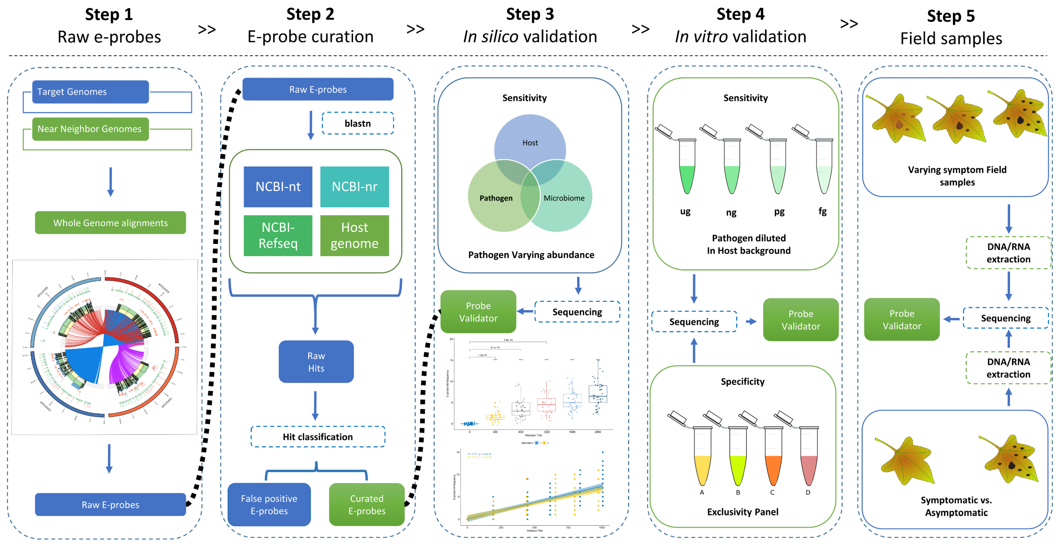 Microbe Finder (MiFi®): Implementation of an Interactive Pathogen ...