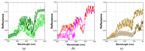 Linking Tissue Damage to Hyperspectral Reflectance for Non-Invasive ...