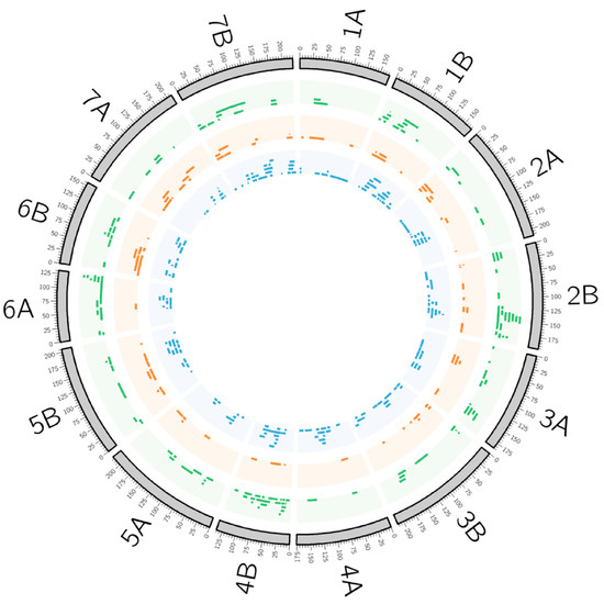 From Genetic Maps to QTL Cloning: An Overview for Durum Wheat