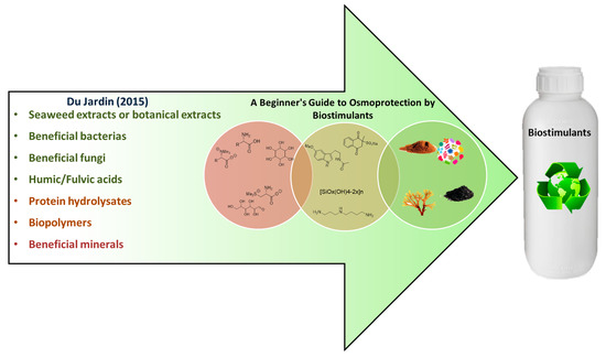 A Beginner’s Guide to Osmoprotection by Biostimulants