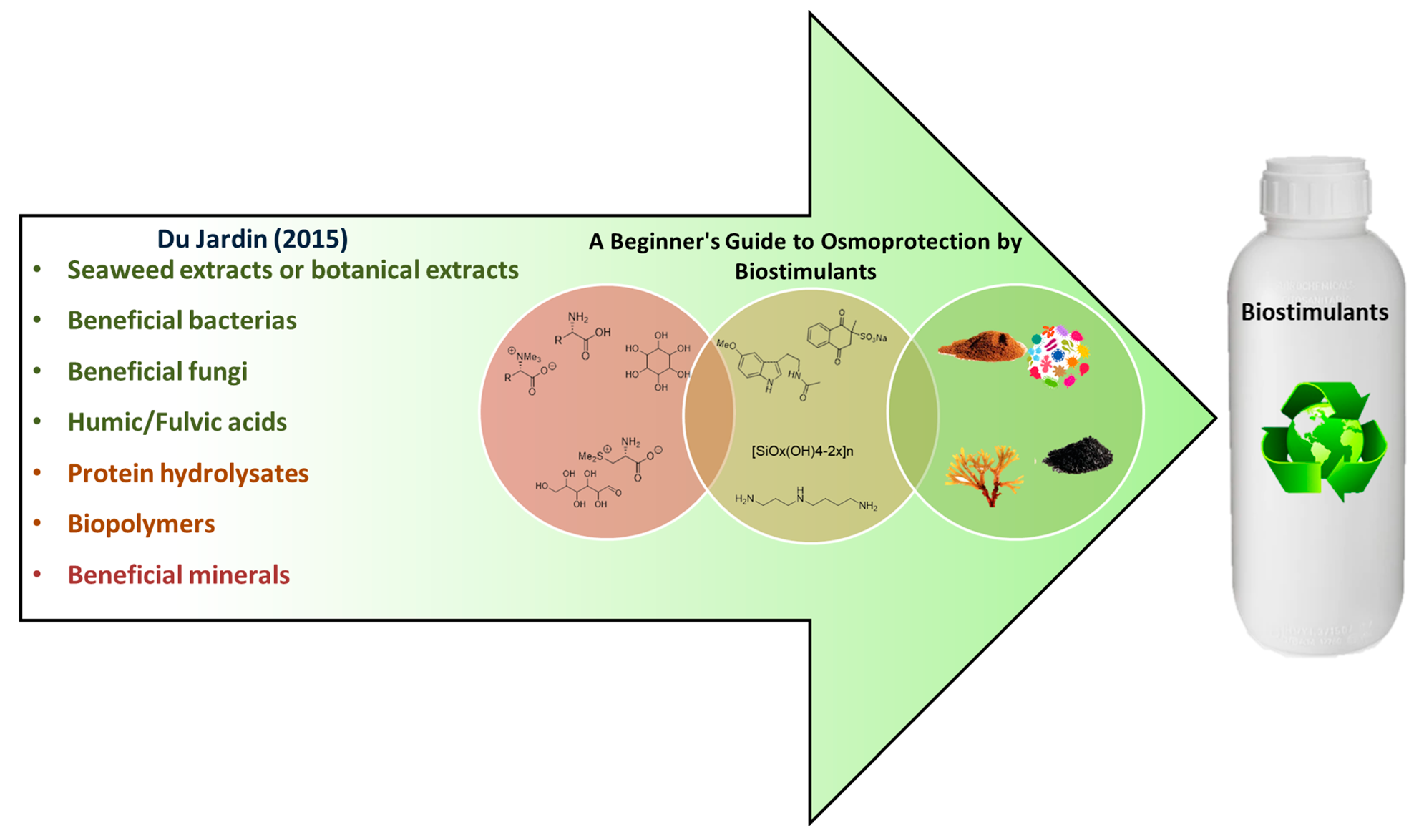 A Beginner’s Guide to Osmoprotection by Biostimulants