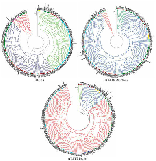 Plants | Special Issue : Effects of Radiation on Plants