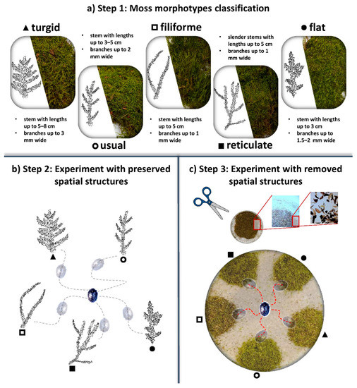 Plants | Special Issue : New Knowledge in Bryology
