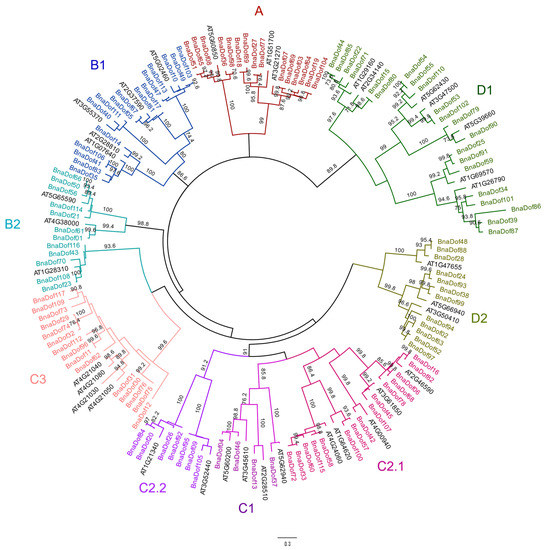 Genome-Wide In Silico Identification and Comparative Analysis of Dof ...