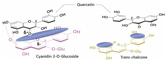 Natural Blues: Structure Meets Function in Anthocyanins