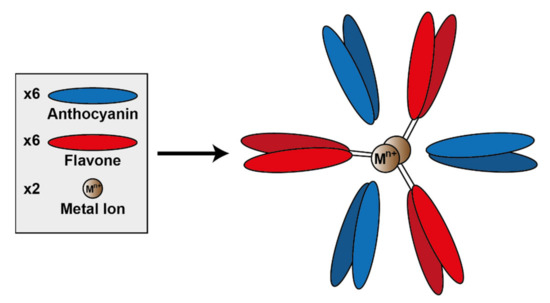 Natural Blues: Structure Meets Function in Anthocyanins