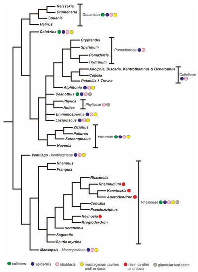 Plants | Special Issue : Plant Secretory Structures