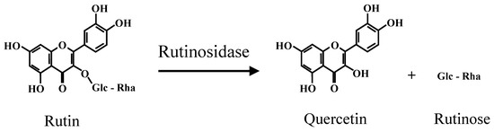 Breeding of Buckwheat to Reduce Bitterness and Rutin Hydrolysis