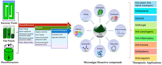 Microalgal Cell Biofactory—Therapeutic, Nutraceutical and Functional ...