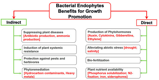 Harnessing Bacterial Endophytes for Promotion of Plant Growth and ...
