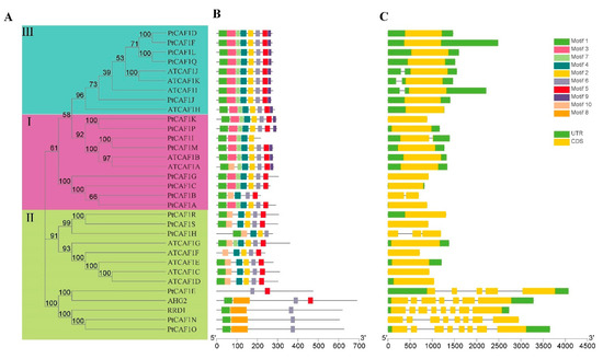 Genome-Wide and Comprehensive Analysis of the Multiple Stress-Related ...