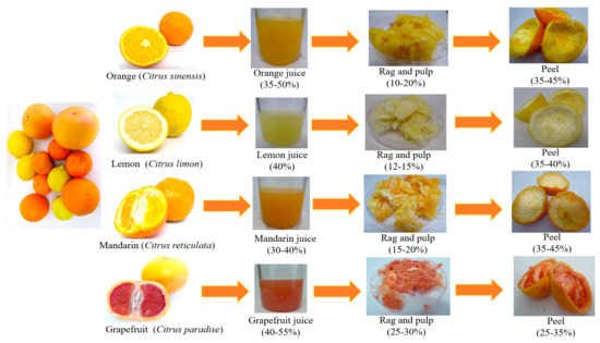 Valorization of Citrus Co-Products: Recovery of Bioactive Compounds and ...