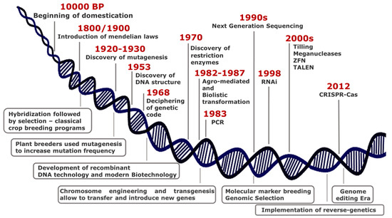 Plants | Free Full-Text | Biotechnological Resources to Increase ...