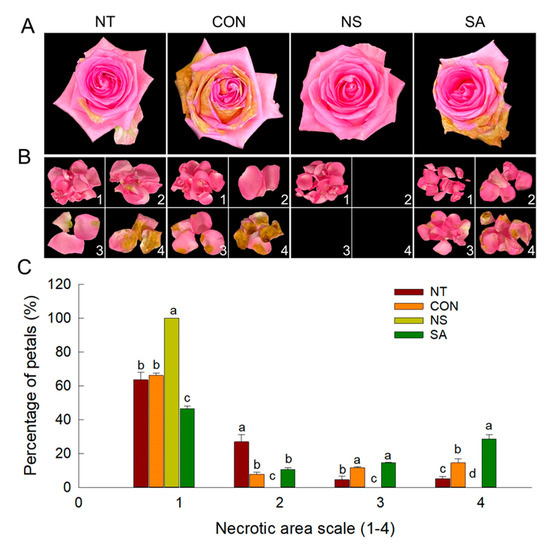 Regulation of Botrytis cinerea Infection and Gene Expression in Cut ...
