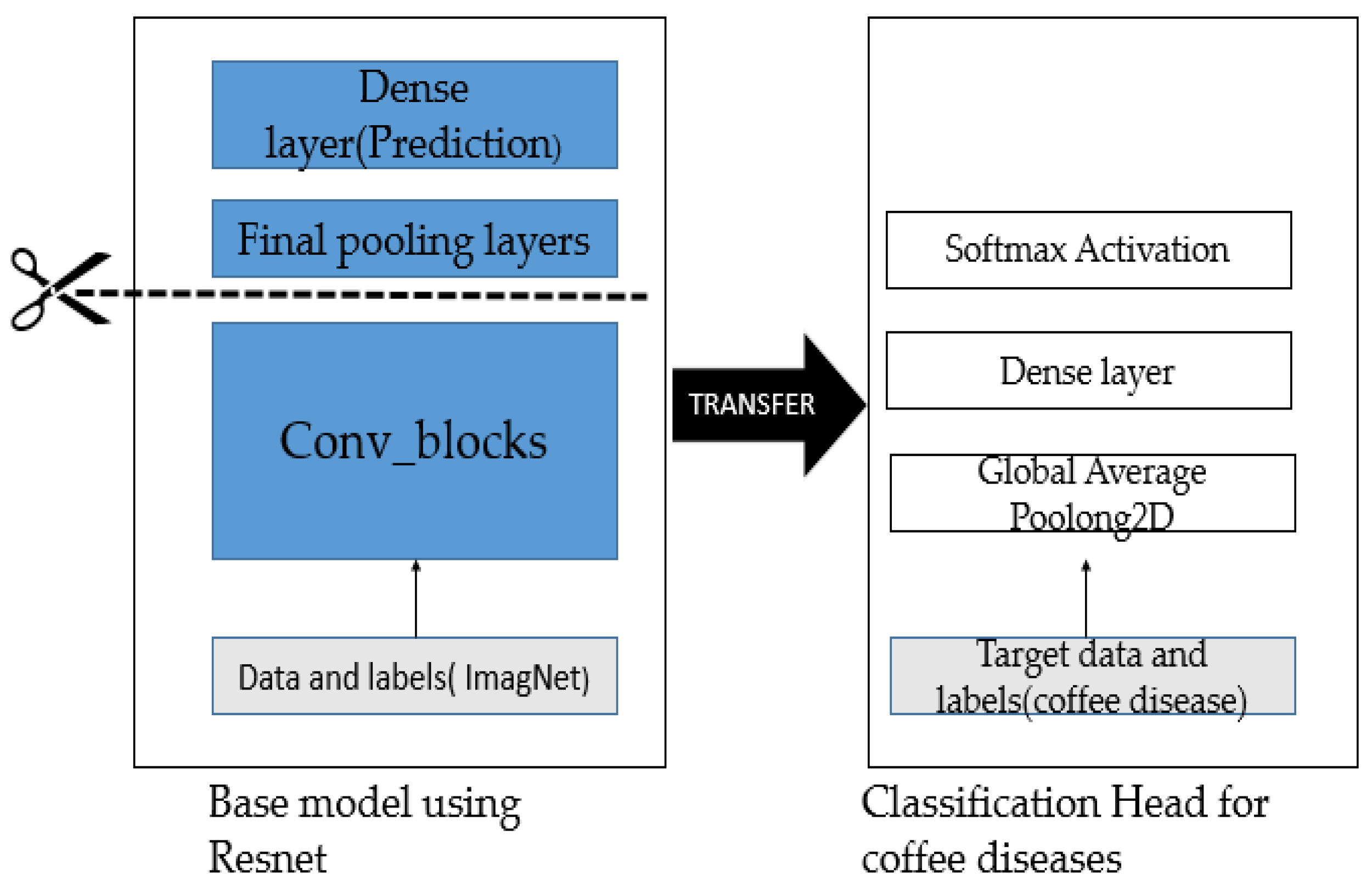 Coffee Disease Visualization and Classification