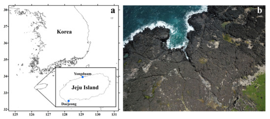 Plants | Free Full-Text | Tetraselmis jejuensis sp. nov ...