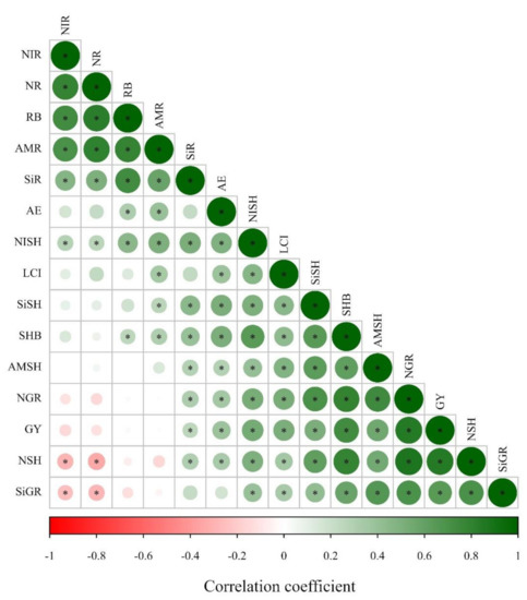 Plants | Free Full-Text | Silicon Amendment Enhances Agronomic ...
