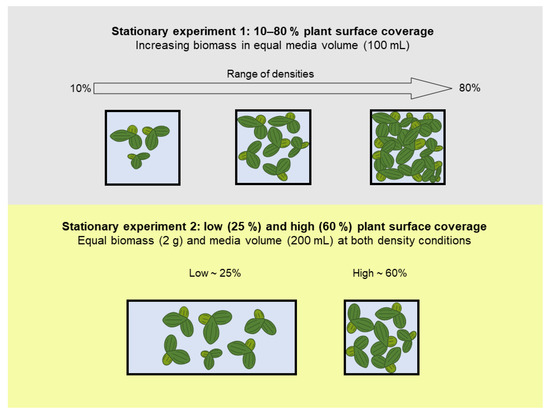 Plants | Special Issue : Duckweed: Research Meets Applications