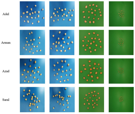 Plants | Free Full-Text | Automated In Situ Seed Variety Identification ...