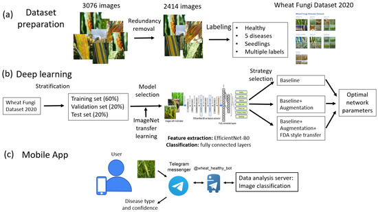 Plants | Special Issue : Machine Learning in Plant Identification and ...