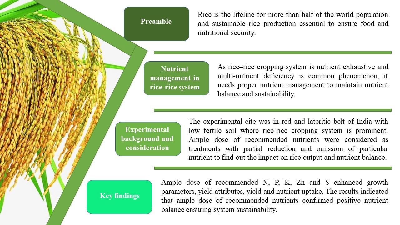 Plants | Free Full-Text | Productivity and Nutrient Balance of an ...