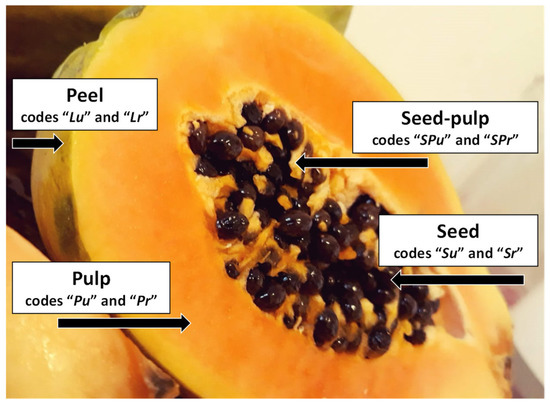 Plants | Free Full-Text | A DPPH· Kinetic Approach on the Antioxidant ...