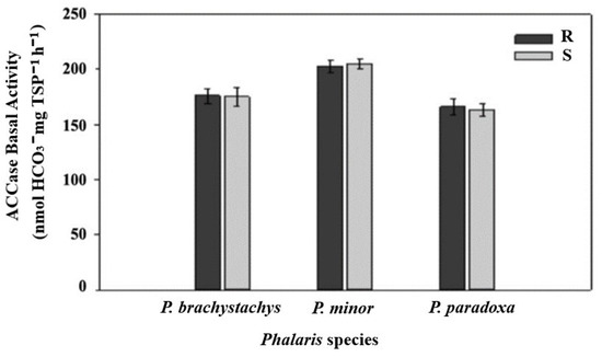 Point Mutations and Cytochrome P450 Can Contribute to Resistance to ...