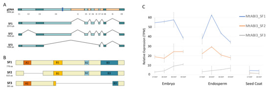 Plants | Special Issue : Molecular Analysis of Medicago Spp.