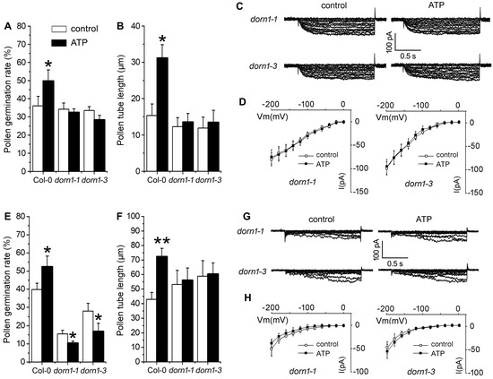 P2K1 Receptor, Heterotrimeric Gα Protein and CNGC2/4 Are Involved in ...