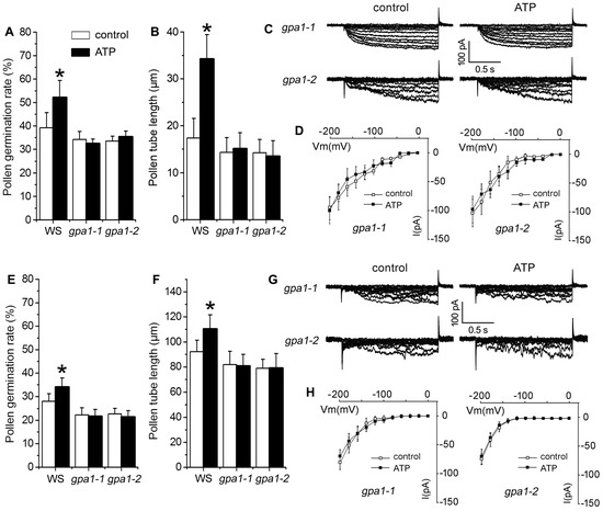 P2K1 Receptor, Heterotrimeric Gα Protein and CNGC2/4 Are Involved in ...
