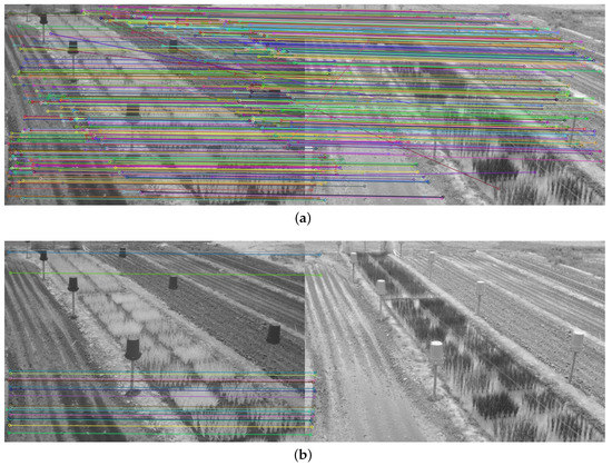 Plants | Free Full-Text | Comparative Analysis of Detectors and Feature Descriptors for ...