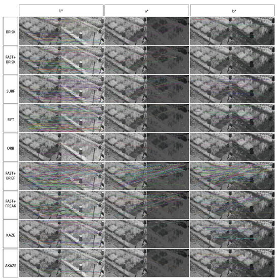 Plants | Free Full-Text | Comparative Analysis of Detectors and Feature Descriptors for ...