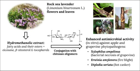 Plants | Special Issue : Natural Resources of Medicinal and Cosmetic Plants