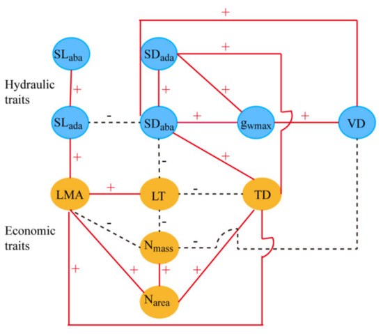 Coupling Relationship of Leaf Economic and Hydraulic Traits of ...