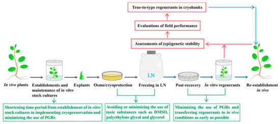 Epigenetic and Genetic Integrity, Metabolic Stability, and Field ...