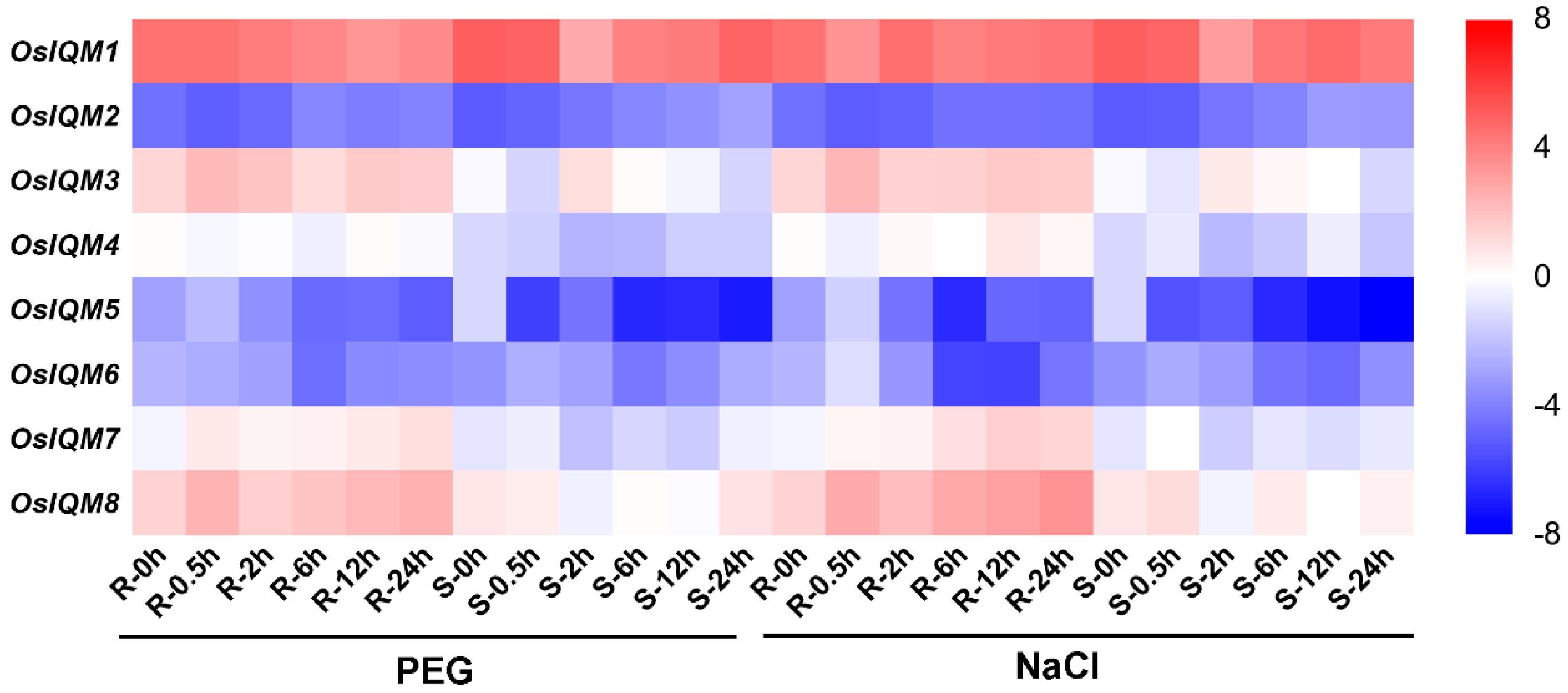 Plants | Free Full-Text | Genome-Wide Analysis of the IQM Gene Family ...