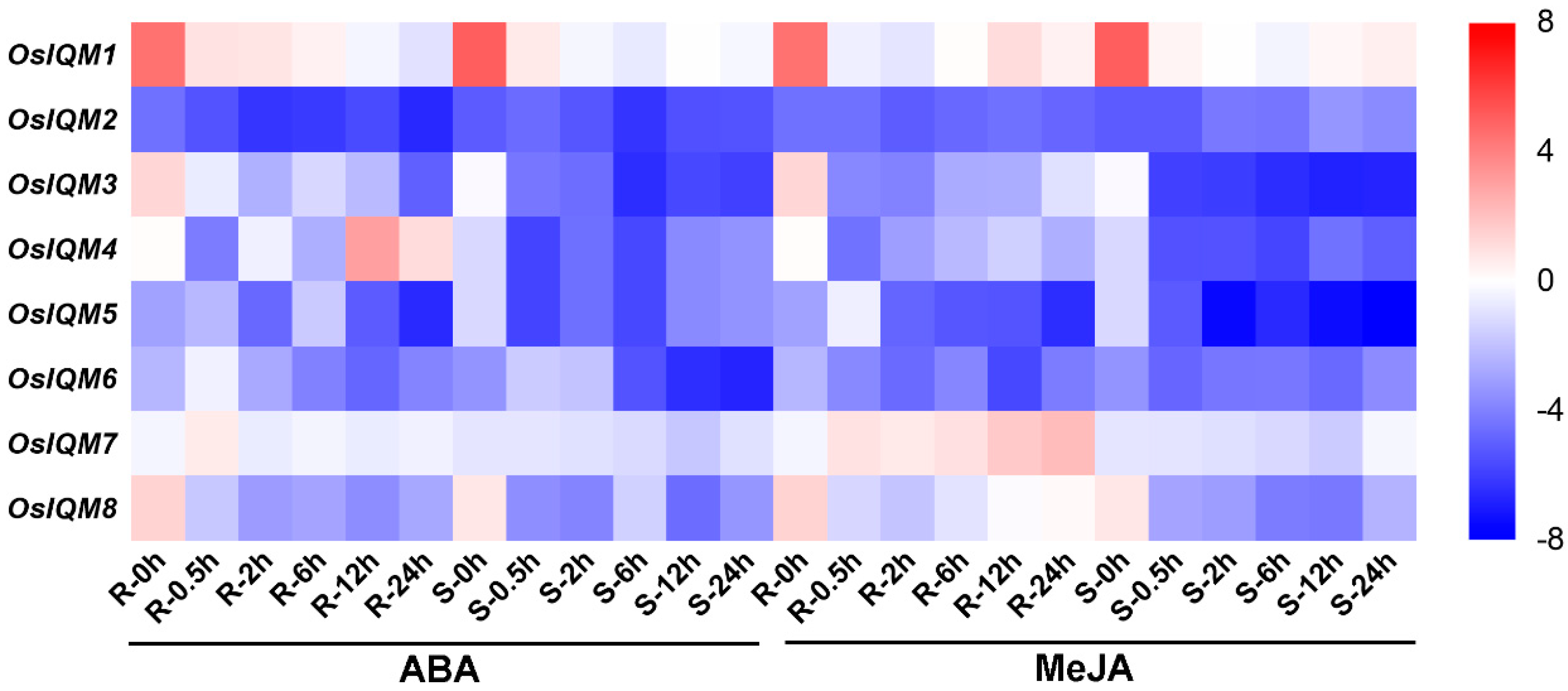 Plants | Free Full-Text | Genome-Wide Analysis of the IQM Gene Family ...