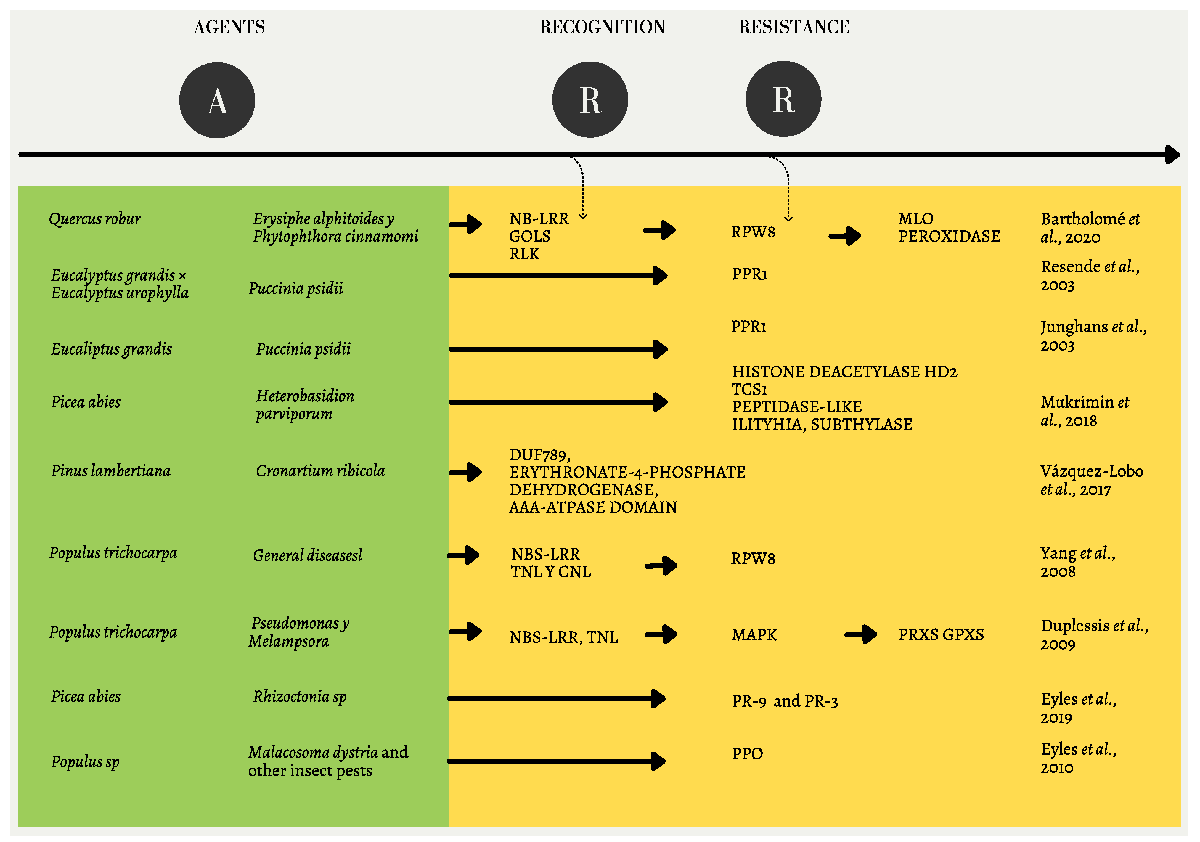 Integrative Pre-Breeding for Biotic Resistance in Forest Trees