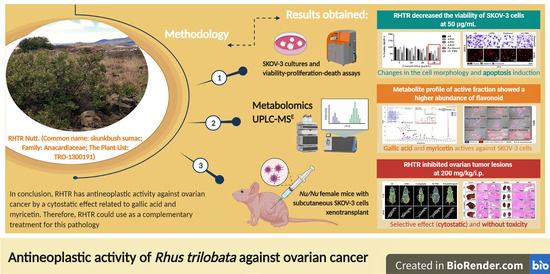 Plants | Free Full-Text | Antineoplastic Activity of Rhus trilobata ...