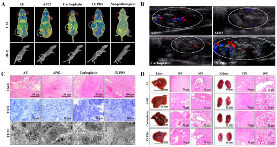 Antineoplastic Activity of Rhus trilobata Nutt. (Anacardiaceae) against ...