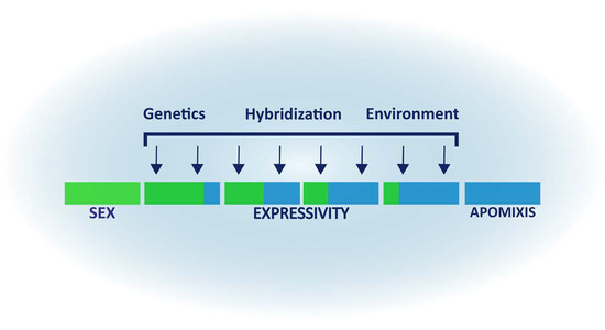 Plants | Free Full-Text | Environmental and Genetic Factors Affecting ...