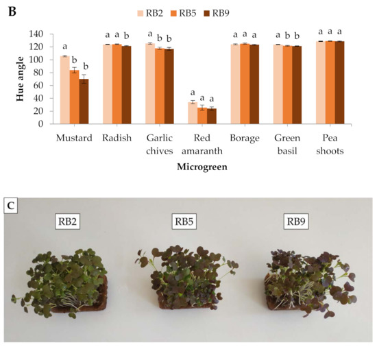 Light Spectrum Differentially Affects the Yield and Phytochemical ...