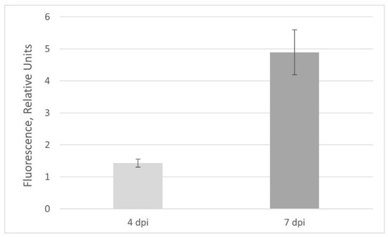 Long-Term Potato Virus X (PVX)-Based Transient Expression of ...