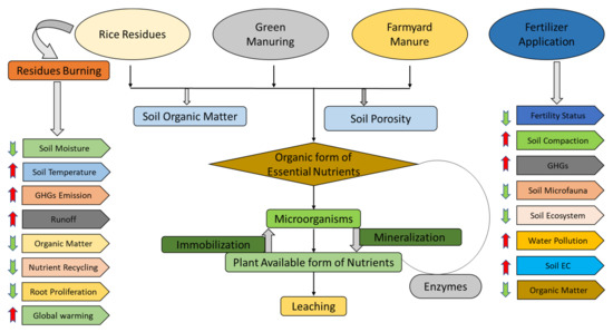 Bioresource Nutrient Recycling in the Rice–Wheat Cropping System ...