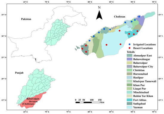 Variations in Morphological Characters and Antioxidant Potential of ...