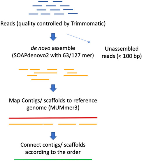 Reference-Guided De Novo Genome Assembly to Dissect a QTL Region for Submergence Tolerance ...