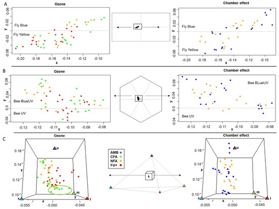 The Effects of Ozone on Visual Attraction Traits of Erodium paularense ...