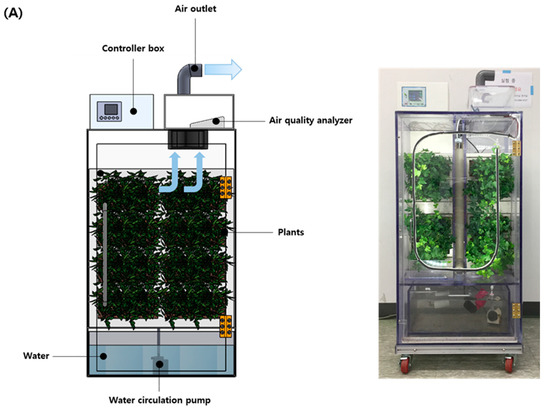 Morphological and Chemical Evaluations of Leaf Surface on Particulate ...