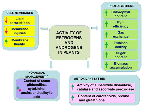 Estrogens and Androgens in Plants: The Last 20 Years of Studies